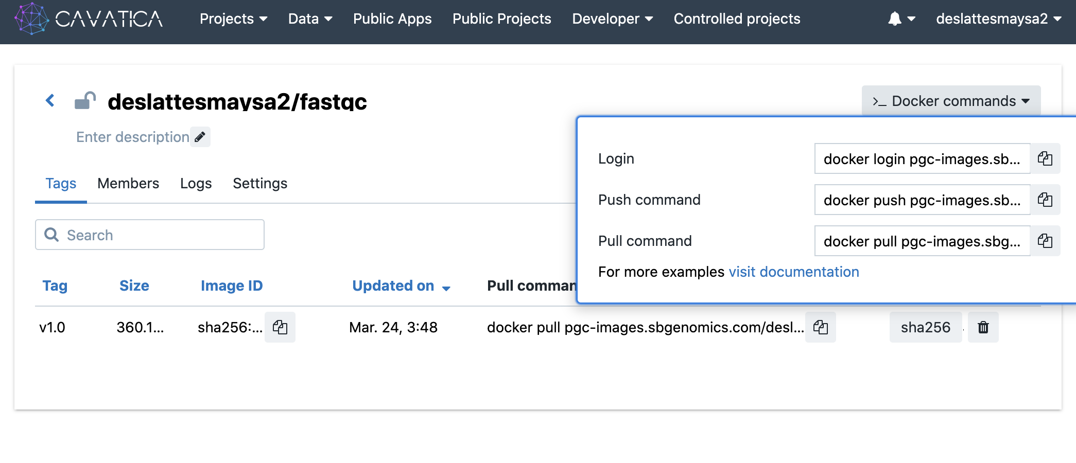 Authenticating on cavatica - Kids First & INCLUDE Elements of Style